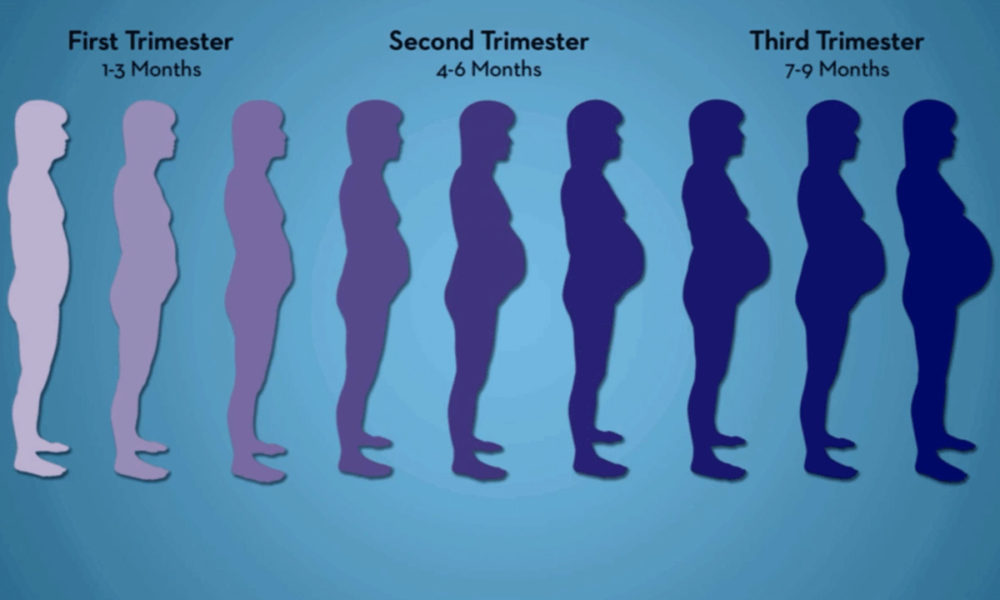 Stages Of Labor: A Quick And Easy Explanation – My WordPress Website